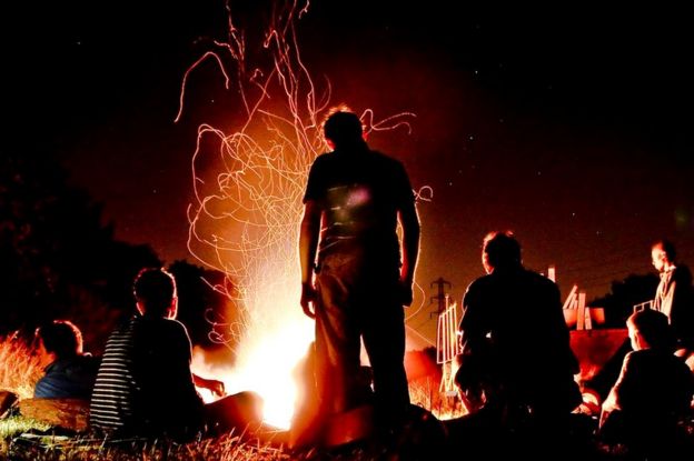 The real reason humans are the dominant species - BBC News