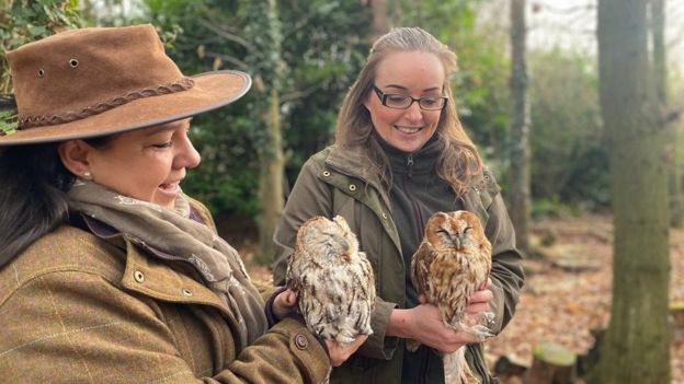 Suffolk Owl Sanctuary pair fly down 'wedding aisle' after rescue - BBC News