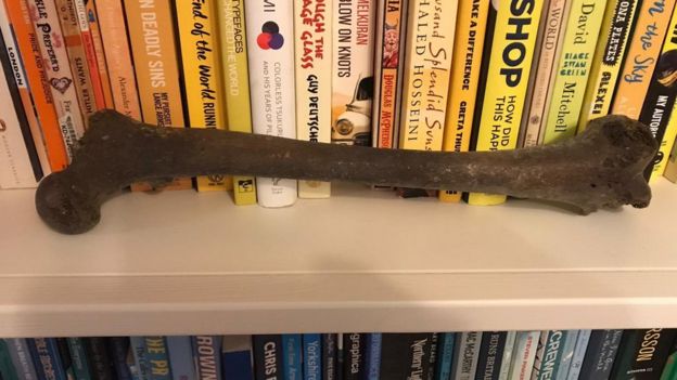 The 5,000-year-old human bone found in the River Thames - BBC News