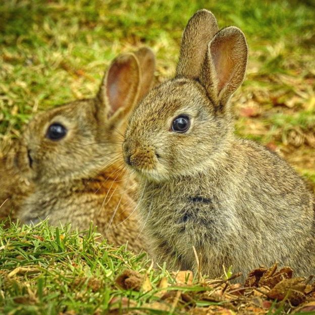 Your pictures of Scotland 5 June - 12 June - BBC News