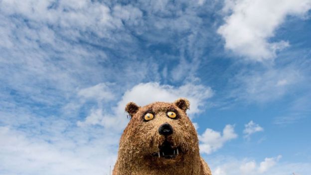 Straw sculptures: Amazing animal statues from around the world, all ...