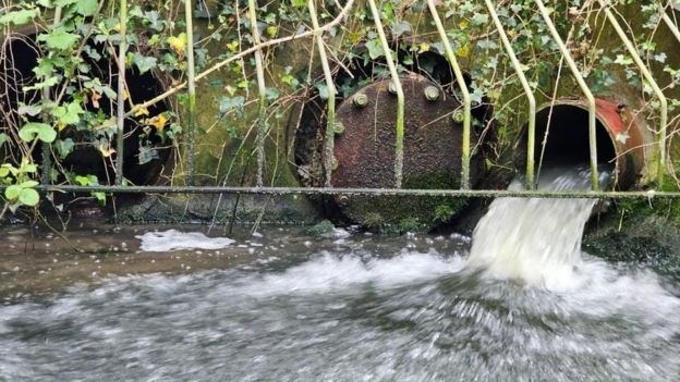 Chiltern chalk stream polluted by sewage after heavy rain - BBC News