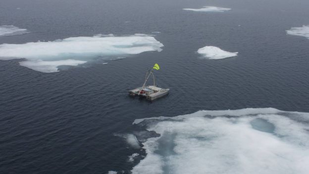 Ocean plants 'can help freeze clouds' - BBC News
