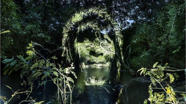 In pictures: The Blood Forest - BBC News