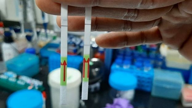 India's new paper Covid-19 test could be a ‘game changer’ - BBC News