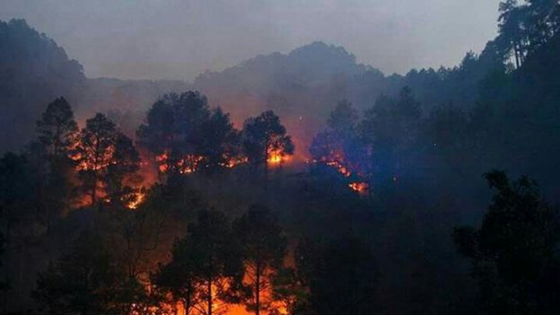 Why India and Nepal's forest fires are worrying scientists - BBC News