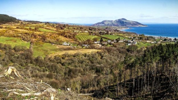 Your pictures of Scotland 10 April - 17 April - BBC News