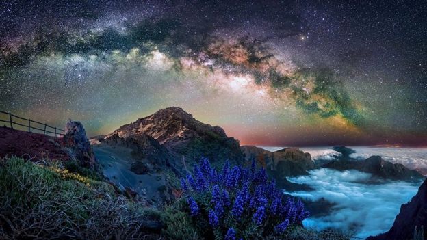 Young nature photographers compete for award - BBC News