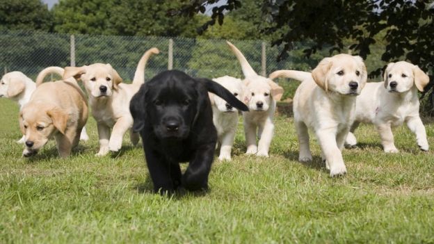 Doors Open Days: 10 weird and wonderful places to visit - BBC News