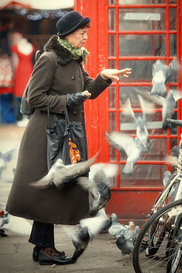 A Cambridge Diary: Martin Bond photos reveal city's 'secret beauty ...