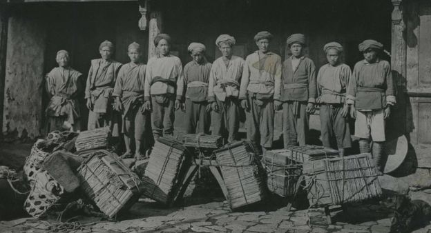 Botanical exploits: How British plant hunters served science - BBC News