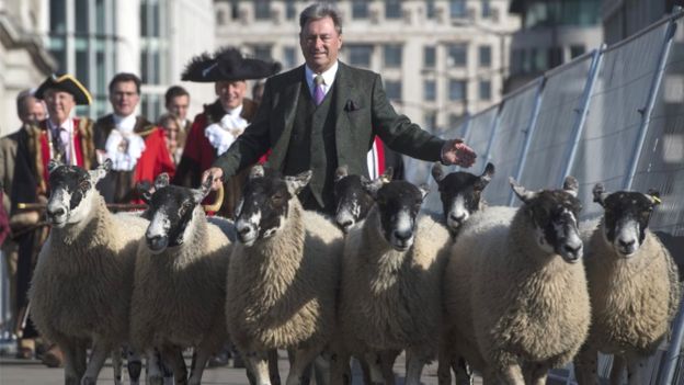 Alan Titchmarsh herds sheep over London Bridge - BBC News