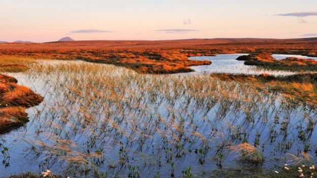 Satellites could help monitor state of Scotland's peat bogs - BBC News