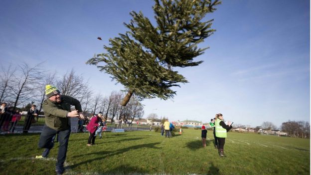 Christmas tree throwing contest held in Ireland - BBC News