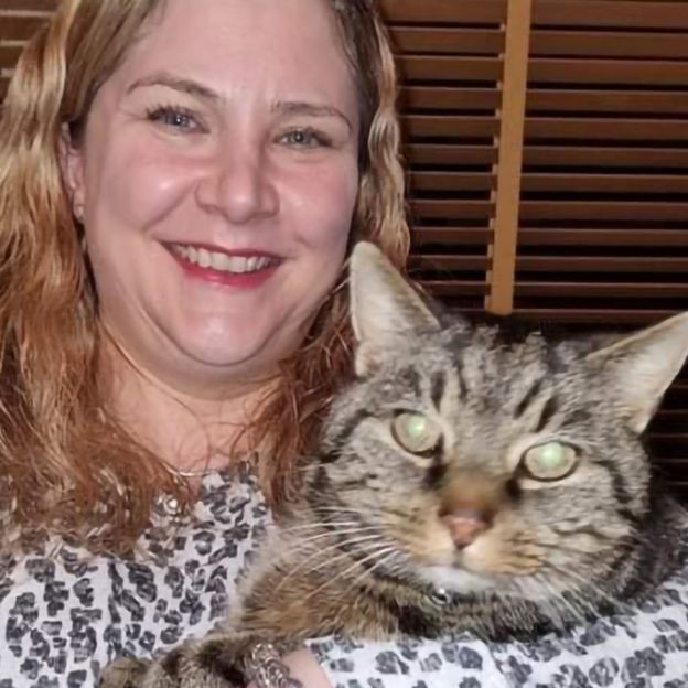 Pet cat missing for 11 years reunited with owners - BBC News