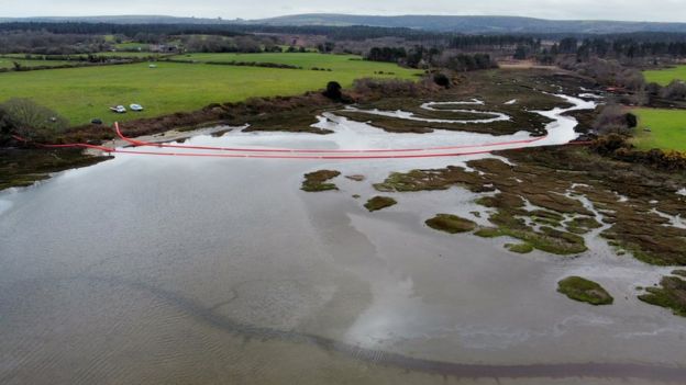 Poole Harbour oil leak: Shellfish farms reopen - BBC News