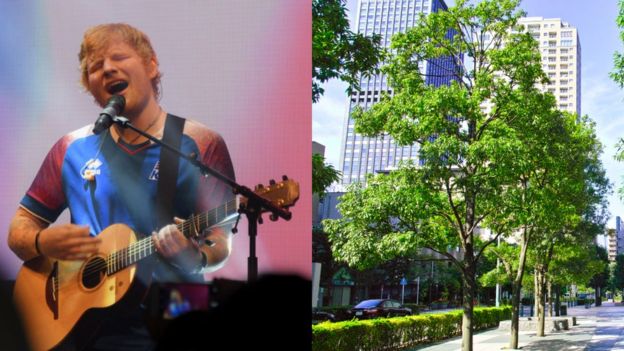 Ed Sheeran moves gigs to save trees in Germany - BBC News