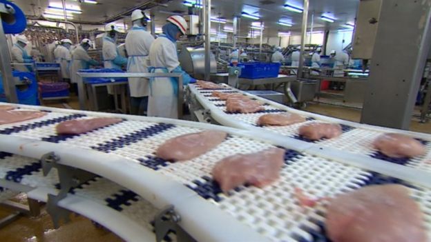 Inside a major chicken processing plant - BBC News