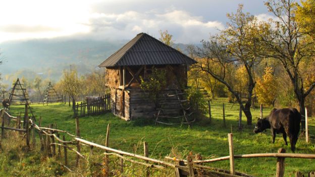 Back from the dead: Race to save Romania's 65 million-year-old fish ...