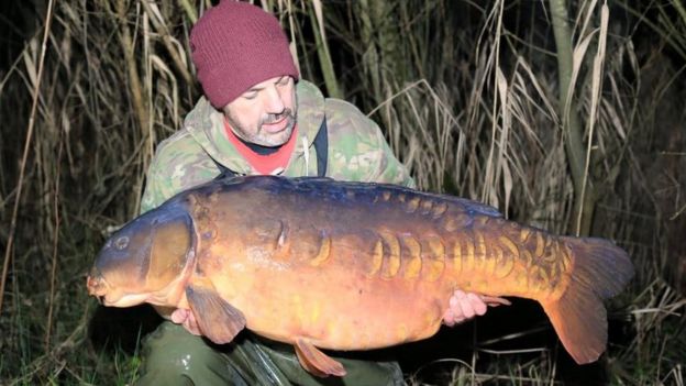Wokingham angler Dean Fletcher claims new carp record - BBC News