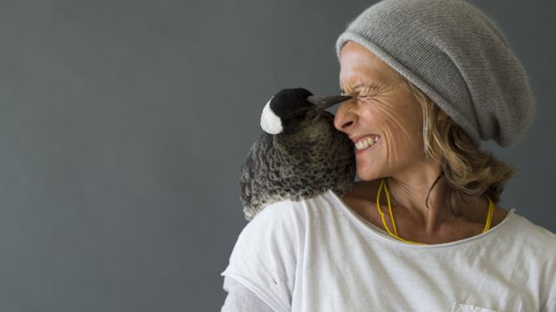 Magpie Attack Australian Cyclist Dies While Fleeing Swooping Bird Bbc News