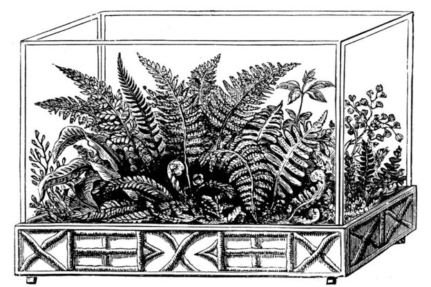 The clever glass box that reshaped the world - BBC News