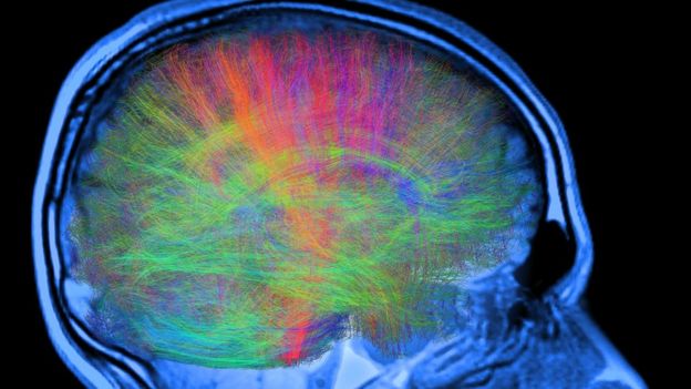 Prize for cracking brain's 'feel good' system - BBC News