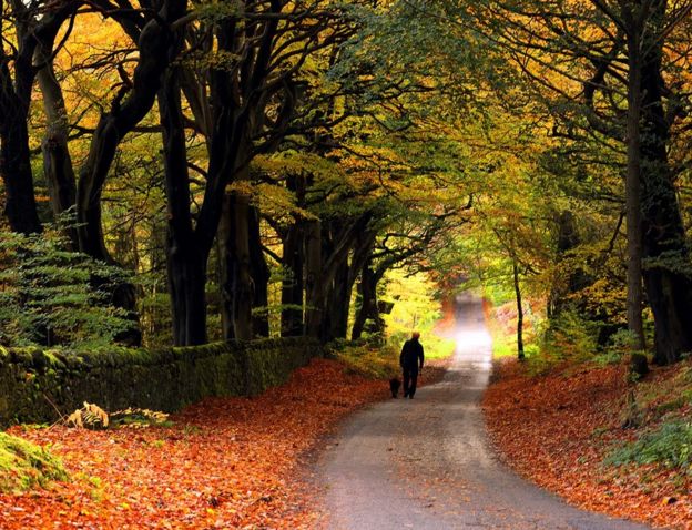 England's Big Picture: 1 November - 7 November - BBC News