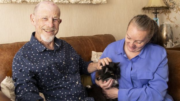 Cat of The Year Awards: Inspiring tails of the UK's finest felines ...