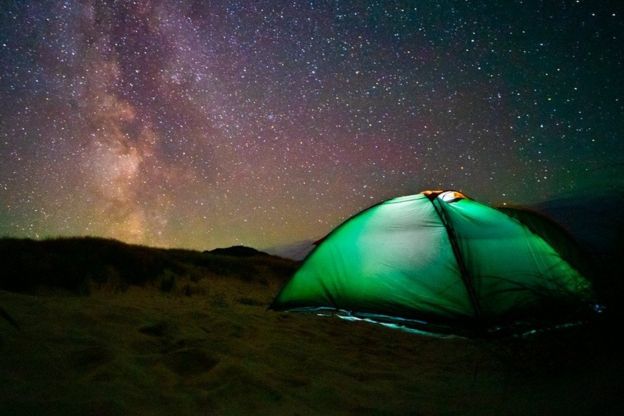 Your pictures on the theme of 'night vision' - BBC News