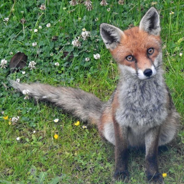 Your pictures of Scotland 10 - 17 July - BBC News