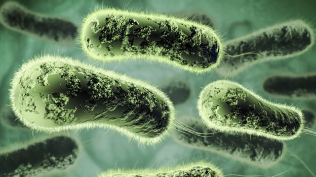 Global antibiotics 'revolution' needed - BBC News