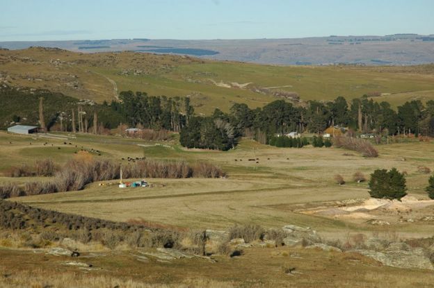 'Mummified' plants give glimpse of Earth's future - BBC News