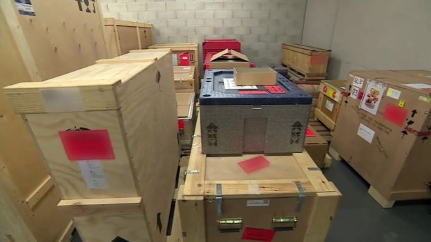 Geneva Free Port: The greatest art collection no-one can see - BBC News