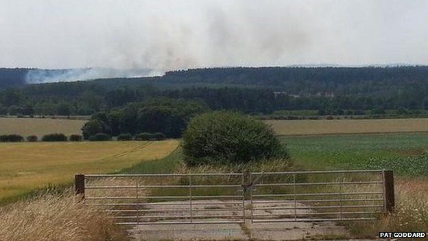 Firefighters tackle large blaze at Thetford Forest - BBC News