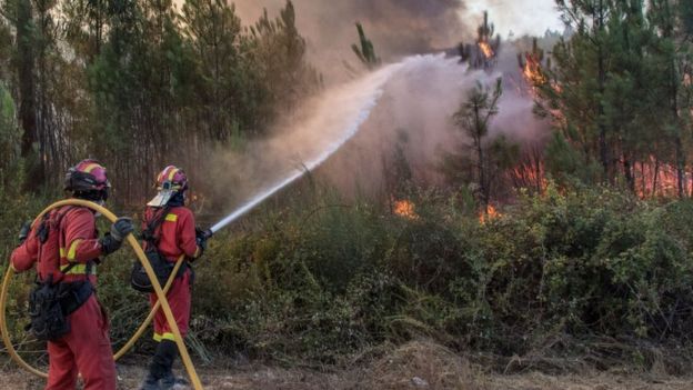 Why wildfires are breaking out in the 'wrong' countries - BBC News