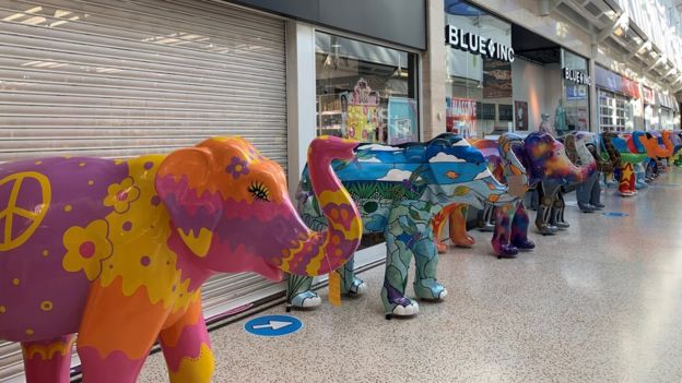 Keech Hospice Care's elephant trail opens to showcase Luton - BBC News