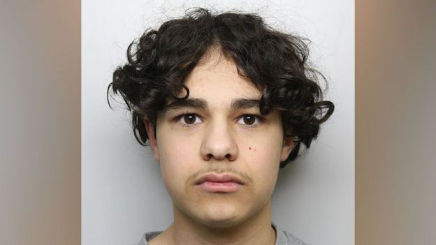 Alfie Lewis: Leeds teenager detained for life for murder - BBC News