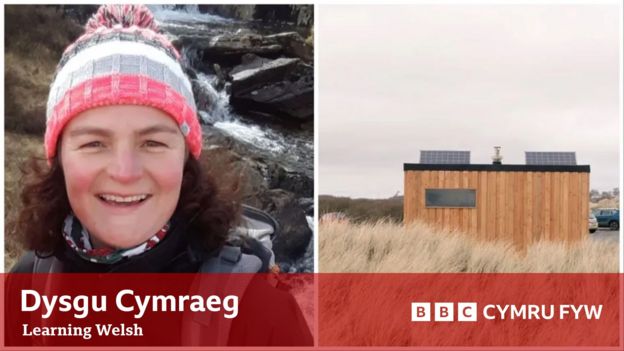 Newyddion a mwy - BBC Cymru Fyw