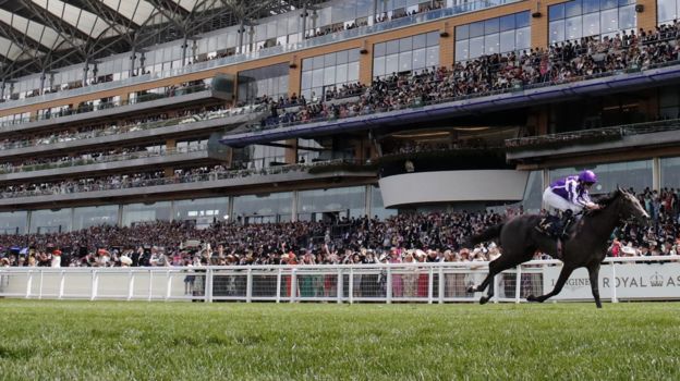 Horse Racing - Latest news, fixtures & schedule - BBC Sport