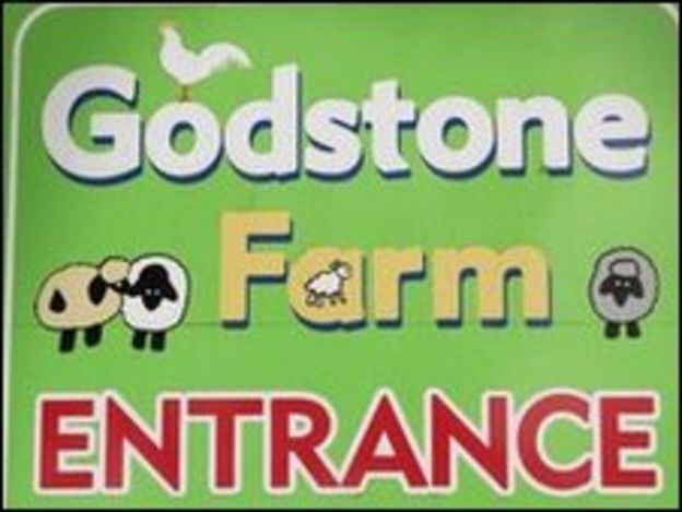 What went wrong at Godstone Farm? - BBC News