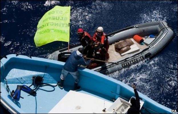 Greenpeace man 'injured in raid' during tuna protest - BBC News