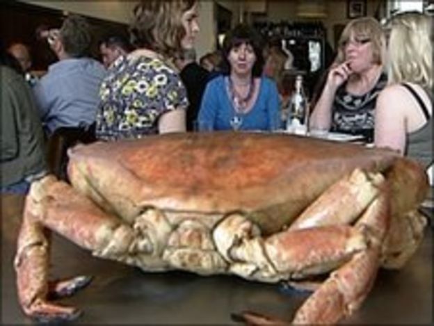 'Cracking' crab campaign to boost South Devon tourism - BBC News
