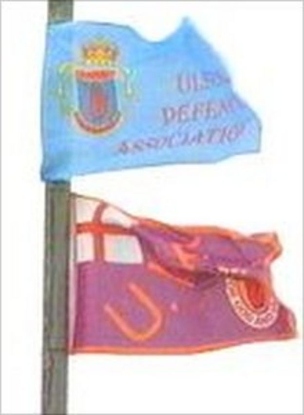 Number of paramilitary flags in NI in July half - BBC News