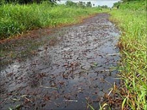 Nigeria: 'World oil pollution capital' - BBC News