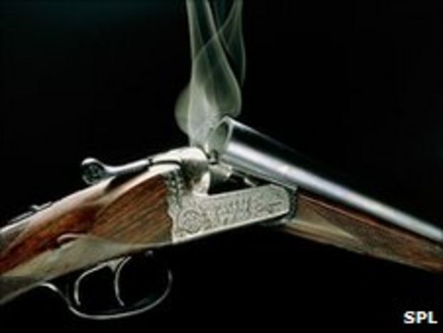 Doctors to flag up mentally ill patients who own guns - BBC News