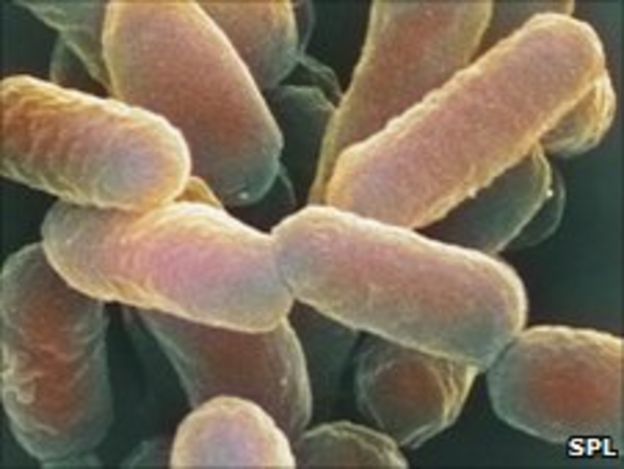 Three children affected by E. coli bug alert in Kent - BBC News