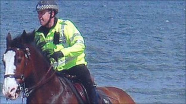 Longest-serving Cleveland Police horse dies - BBC News