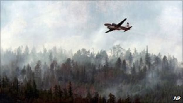 No survivors in Canada fire-bomber crash - BBC News