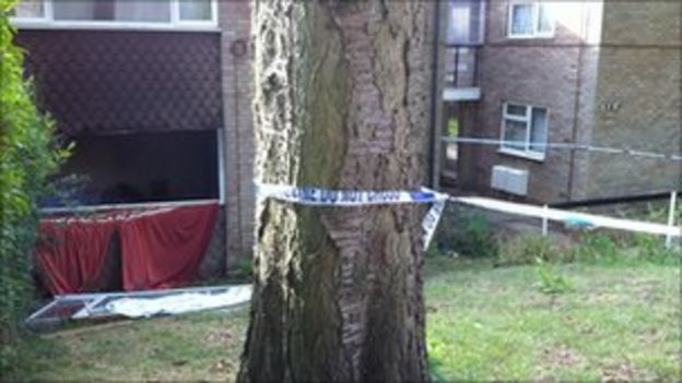 Man critical in hospital after fire in Stevenage flat - BBC News